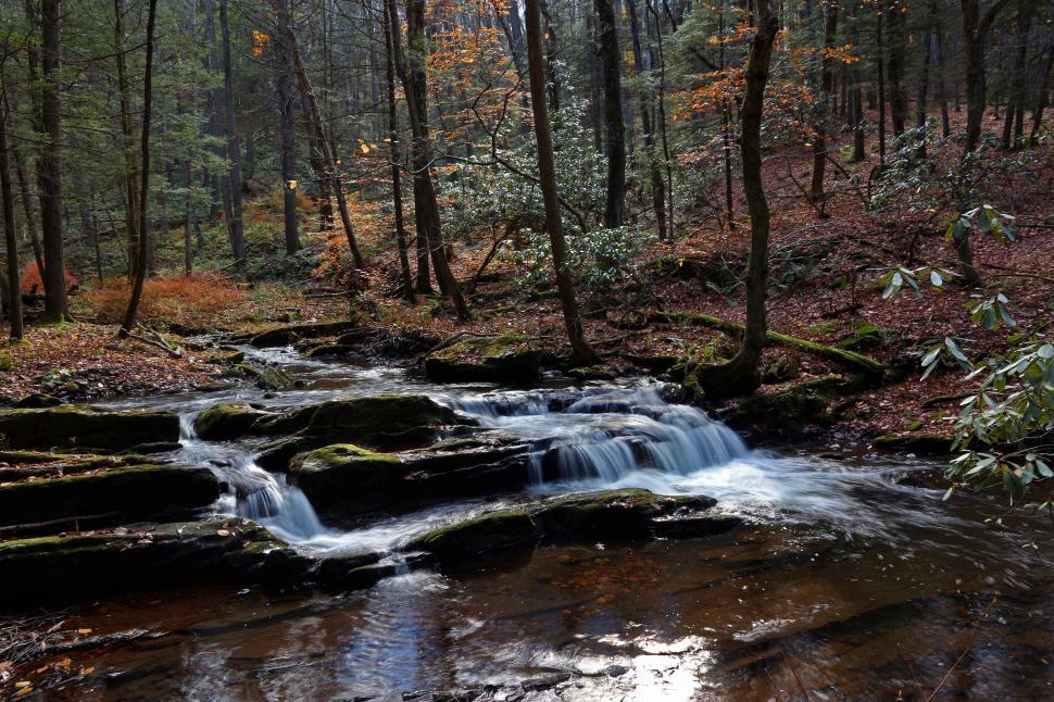 Free Stock Photo of Van Campens Brook Small Cascade | Download Free ...