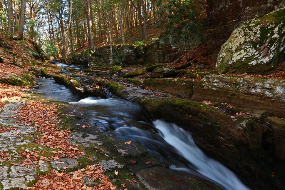 Free Stock Photo of Van Campens Brook | Download Free Images and Free ...