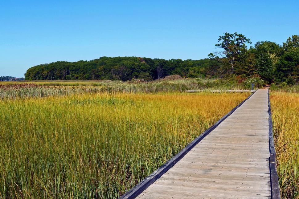 Free Stock Photo of Board Walk Through Salt Marsh At Cheesequake State ...