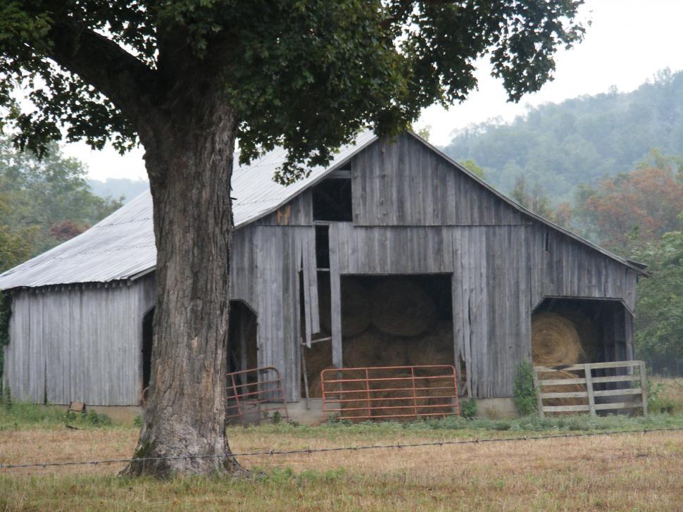 Old Barns With Trees Barn In The Woods Lost In Michigan