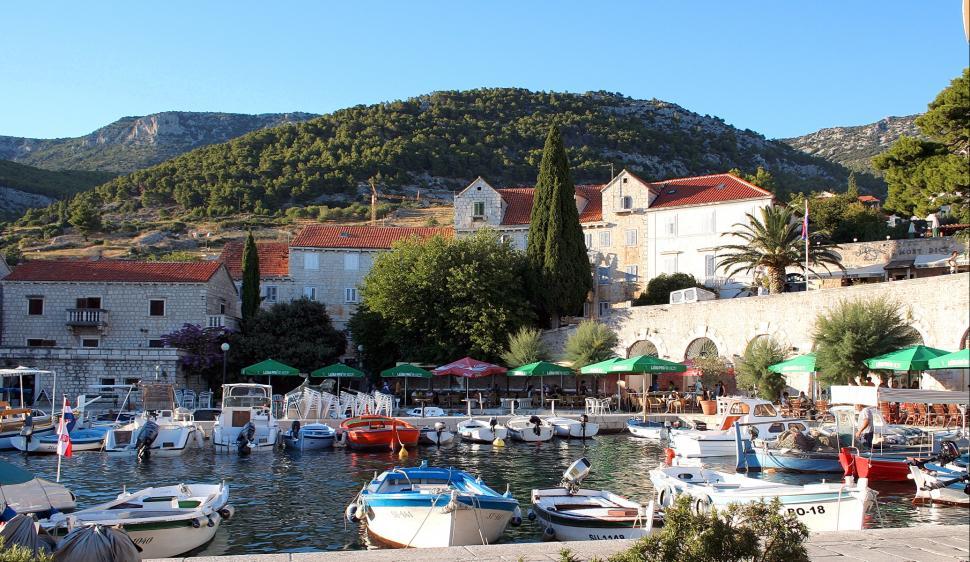 Free Stock Photo of Bol | Download Free Images and Free Illustrations