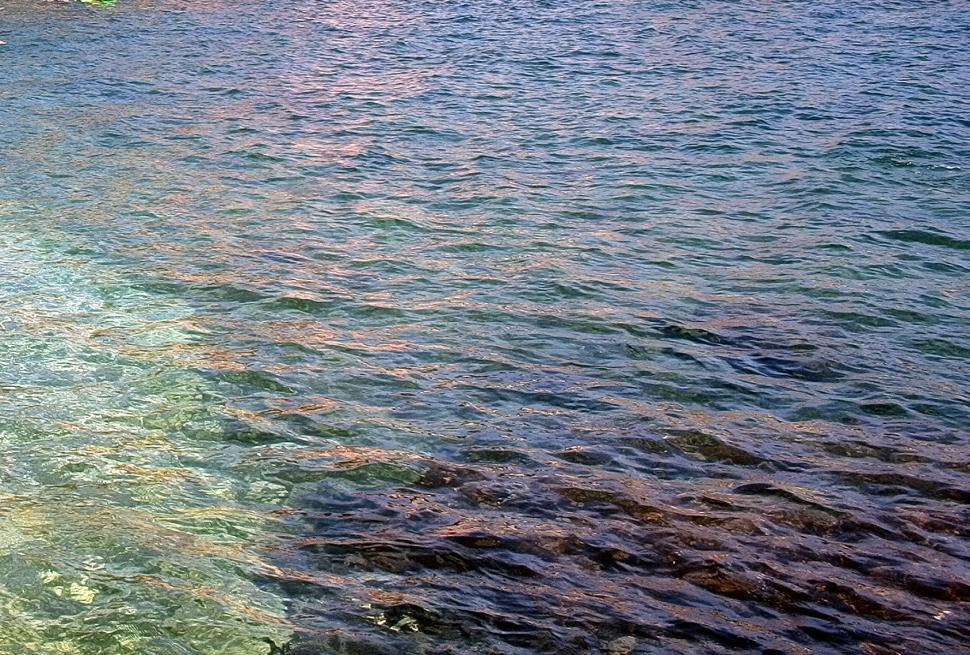 Free Stock Photo of Shallow sea | Download Free Images and Free ...