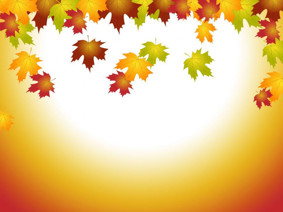Free Stock Photo of Fall Leaves Means Text Space And Blank | Download ...
