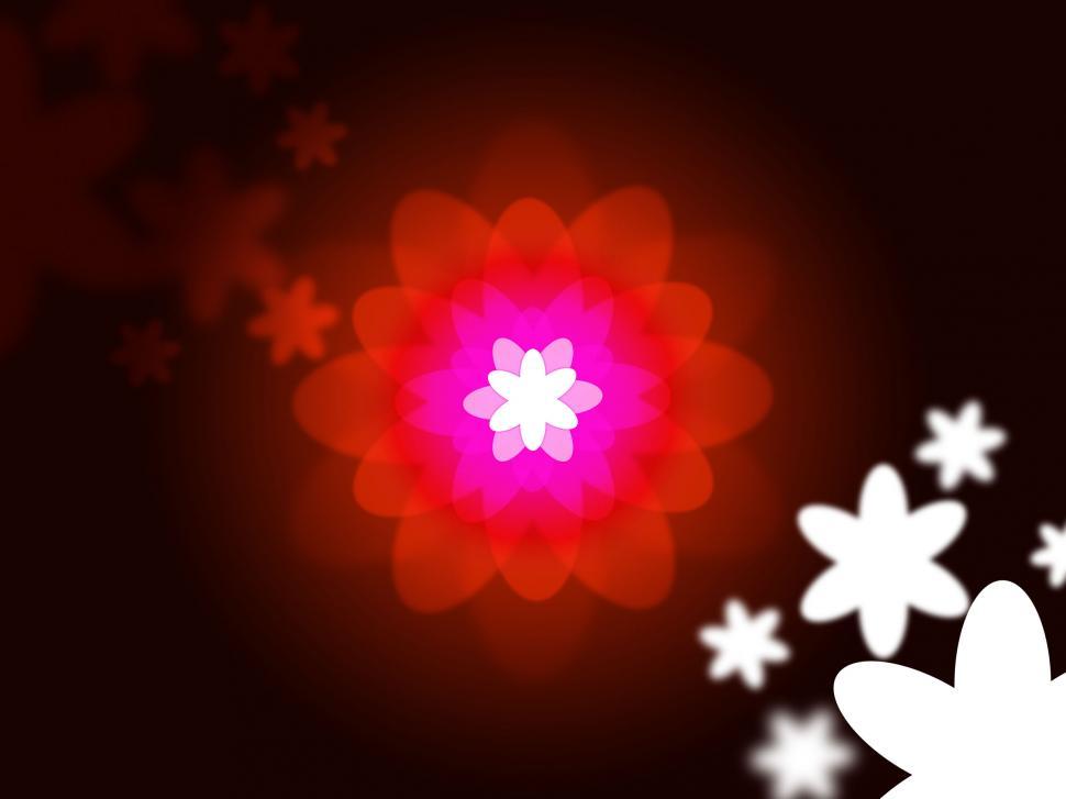 Free Stock Photo of Nature Glow Represents Light Burst And Natural ...