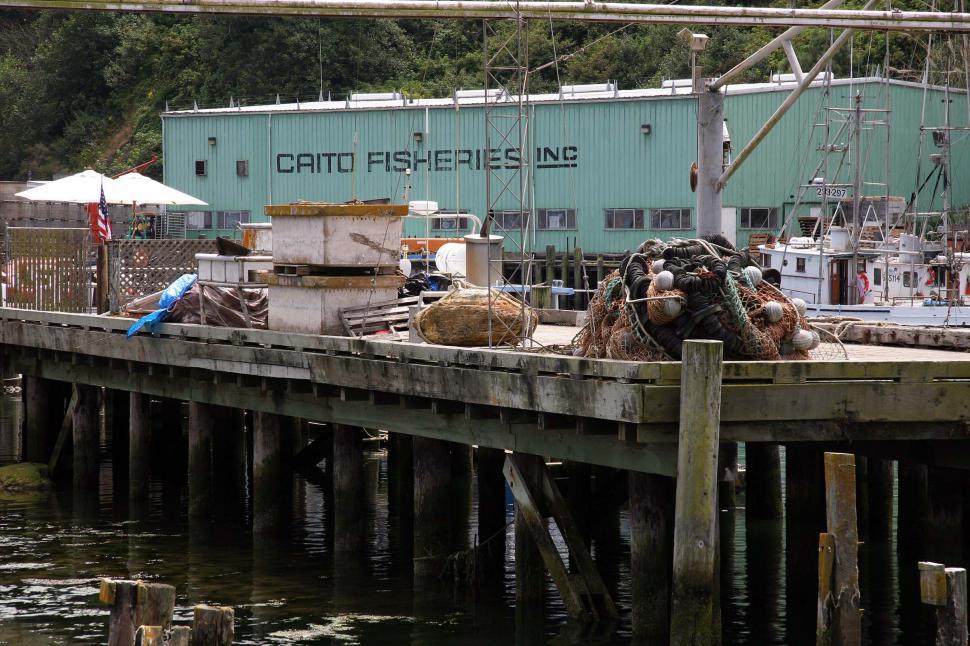 Free Stock Photo of Fishing industry | Download Free Images and Free ...