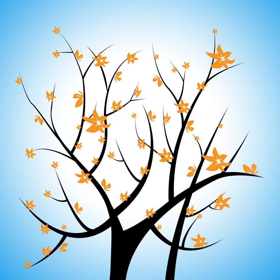 Free Stock Photo of Nature Glow Represents Light Burst And Blazing ...