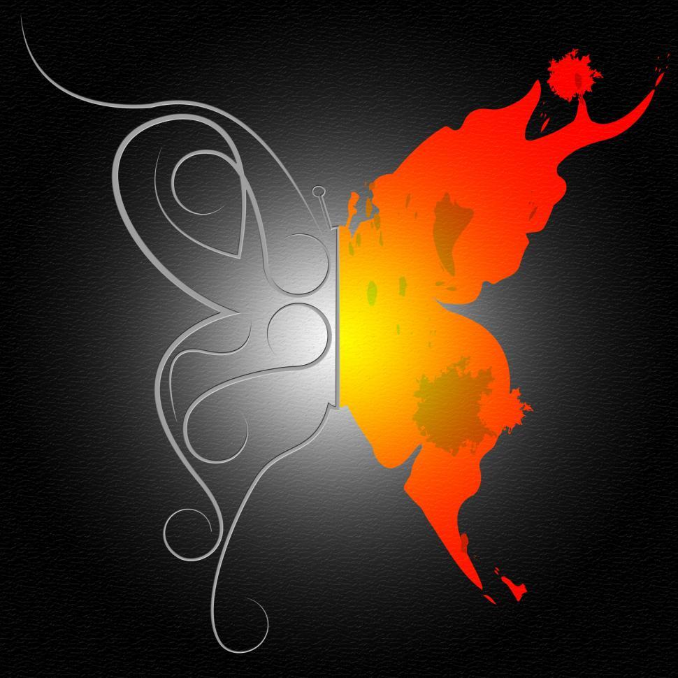 Free Stock Photo of Pattern Background Shows Flying Backdrop And Design ...