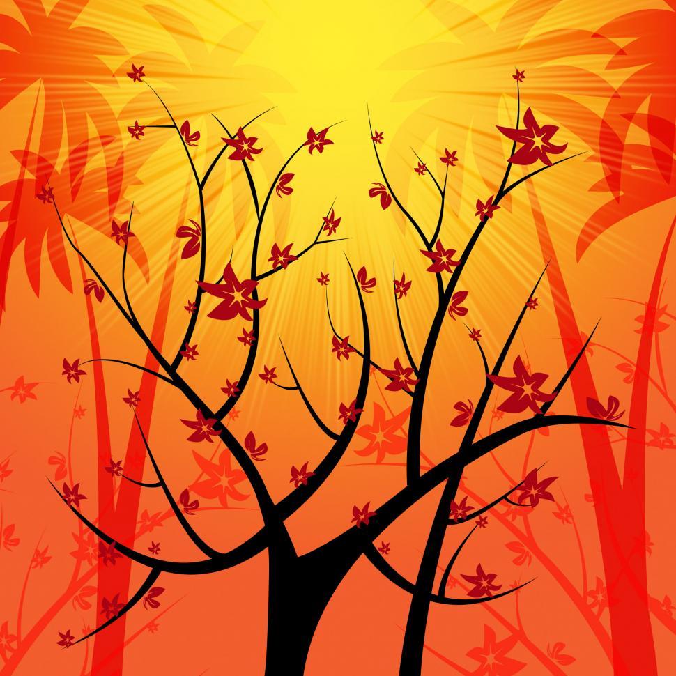 Free Stock Photo of Glow Nature Shows Light Burst And Branch | Download ...