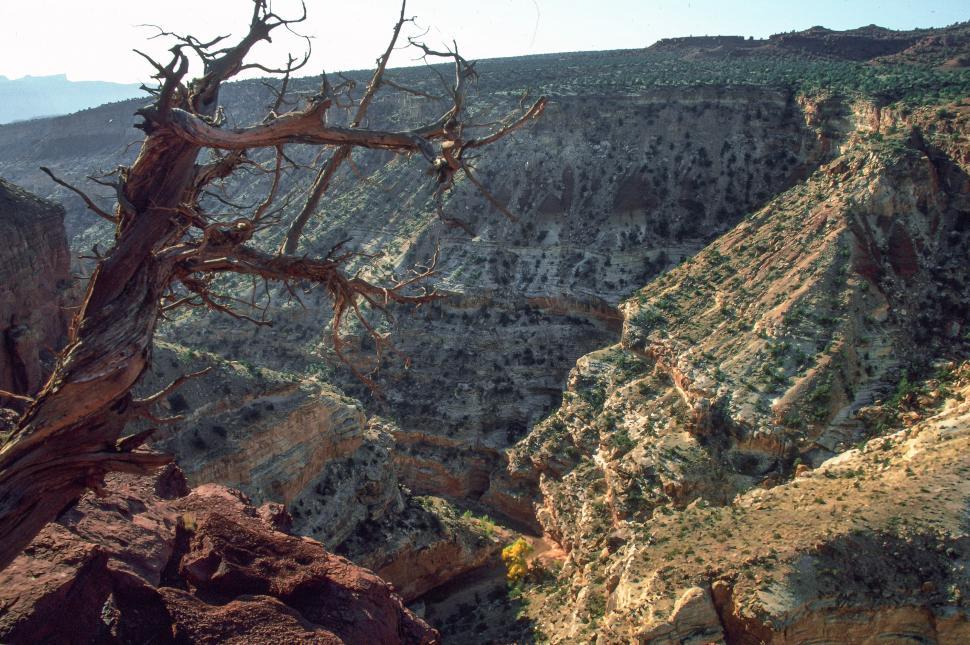 Free Stock Photo of Capitol Reef National Park Canyon | Download Free ...
