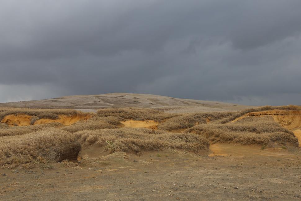 Free Stock Photo of Man Riding Horse Through Sandy Field | Download ...