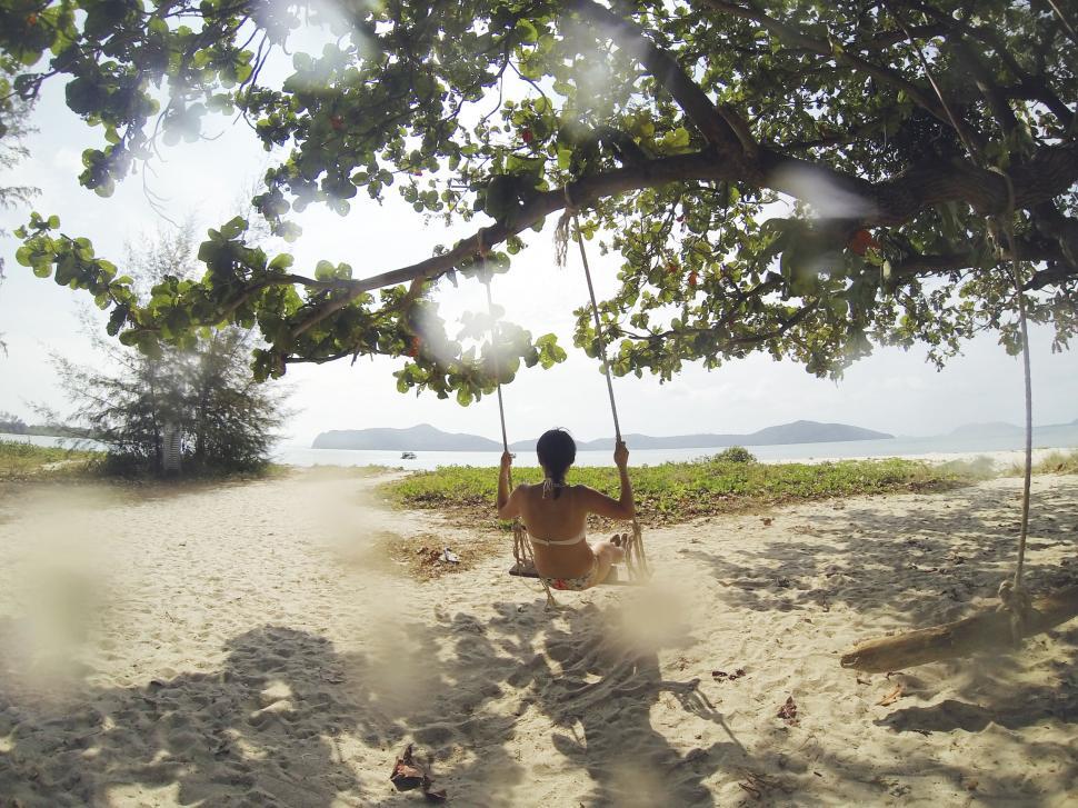 Free Stock Photo of Person Sitting on Swing Under Tree | Download Free ...