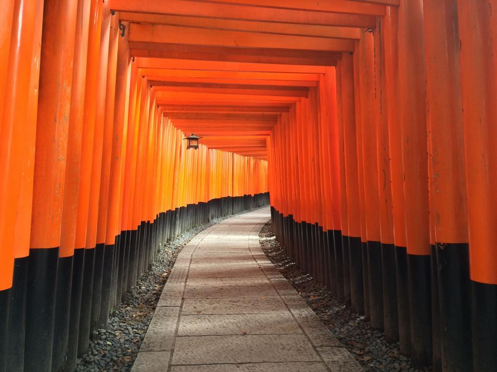 Free Stock Photo of Long Line of Orange and Black Poles | Download Free ...