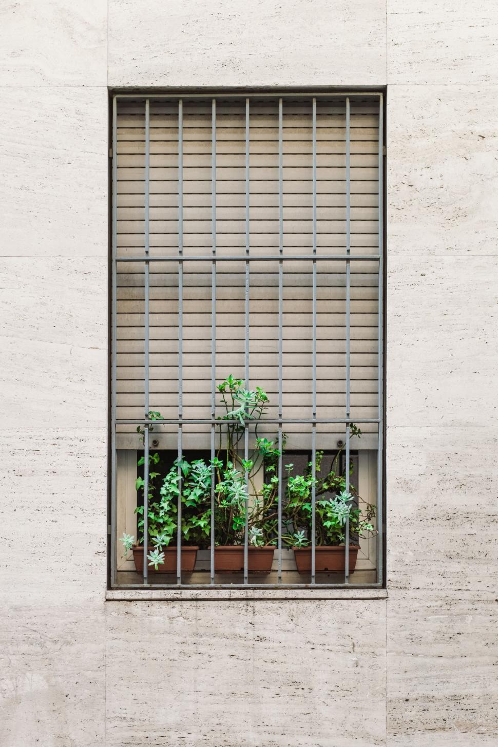 Free Stock Photo of Window Filled With Various Plants | Download Free ...