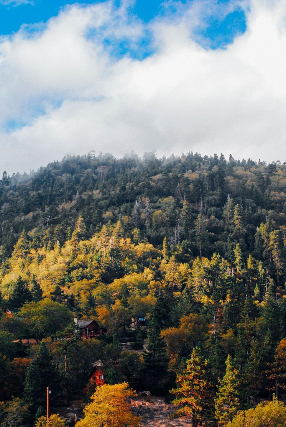 Free Stock Photo of Mountain Covered in Trees Under Cloudy Blue Sky ...