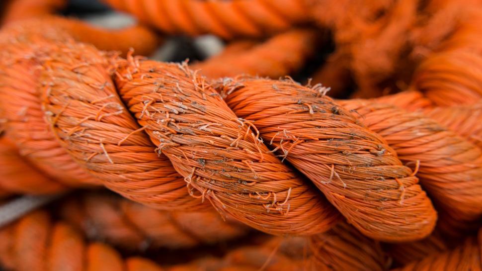 Free Stock Photo of Close Up of an Orange Rope | Download Free Images ...