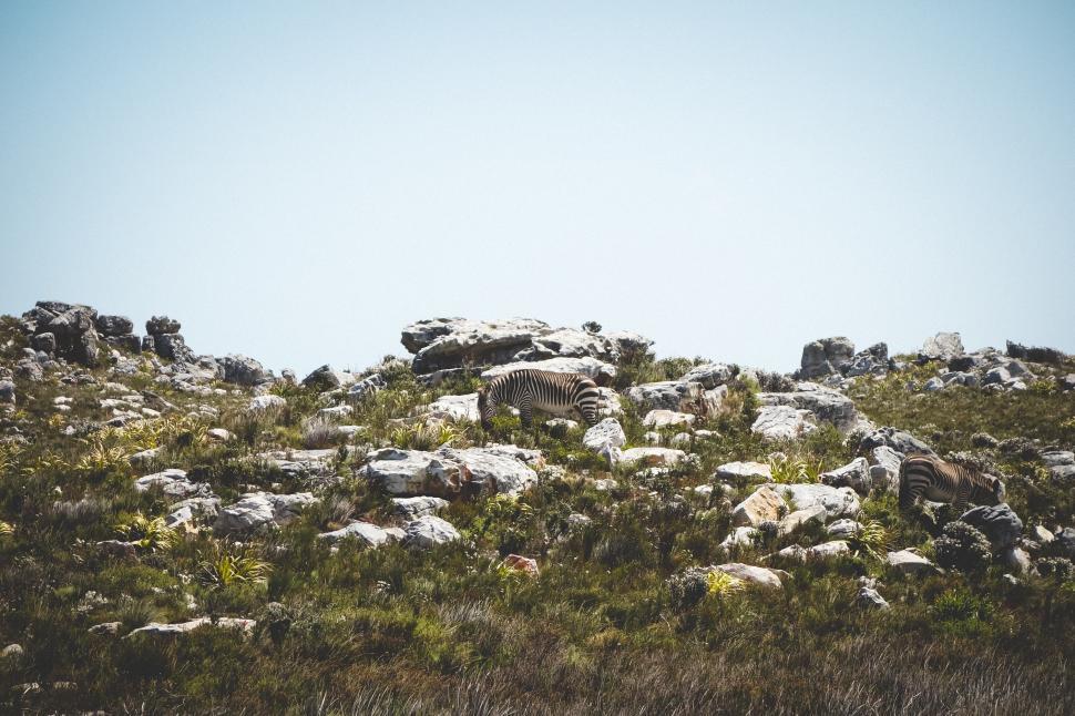 Free Stock Photo of Rocky Hillside With Grass and Rocks Under a Blue ...