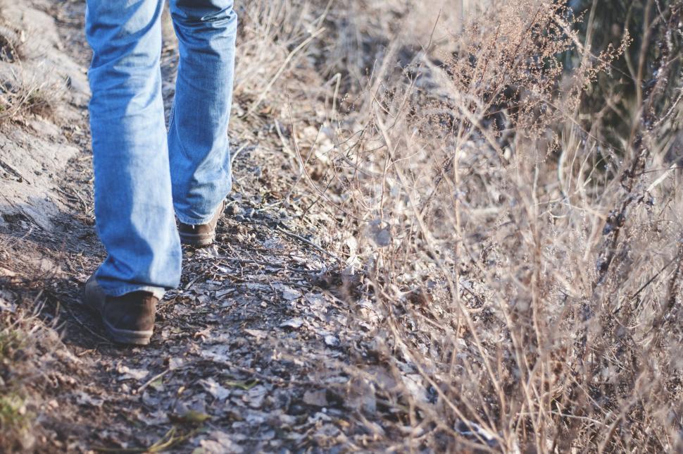 Free Stock Photo of Person Walking on Path in Field | Download Free ...