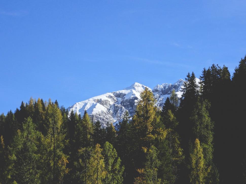 Free Stock Photo of Snow Covered Mountain View Through Trees | Download ...