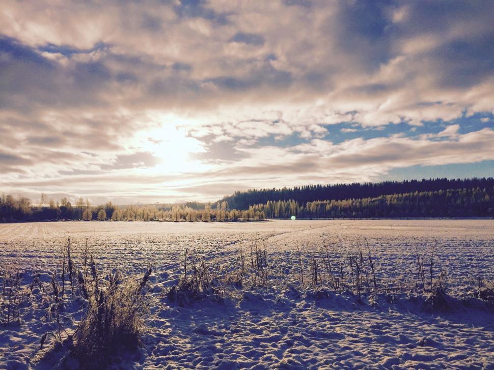 Free Stock Photo of Snow Covered Field With Trees in Background ...