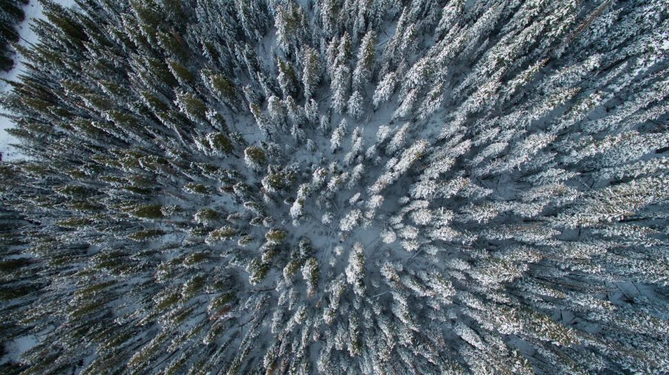 Free Stock Photo of Aerial View of Snow Covered Field | Download Free ...