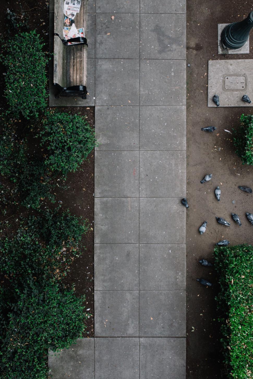 Free Stock Photo of Aerial View of a Park With Benches and Trees ...