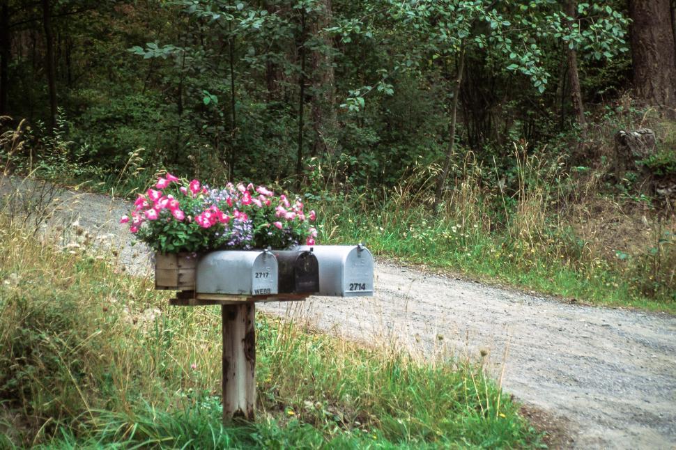 Free Stock Photo of Mailbox with flowers | Download Free Images and ...