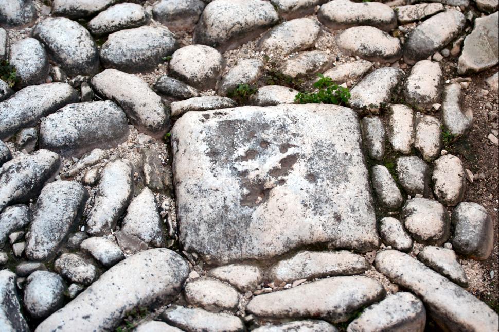 Free Stock Photo of The pavement | Download Free Images and Free ...