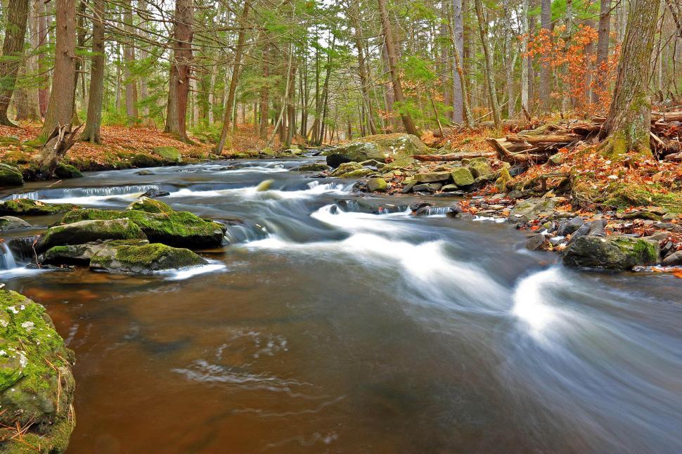 Free Stock Photo of Cascades and Rapids | Download Free Images and Free ...