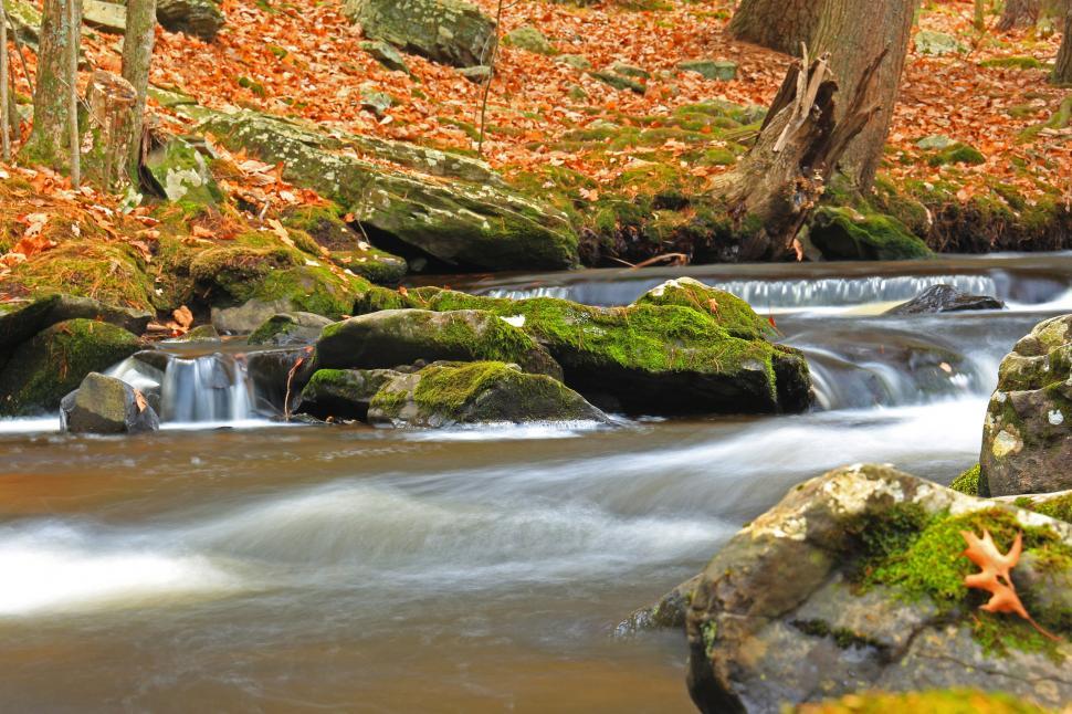 Free Stock Photo of Running water around moss covered rocks | Download ...