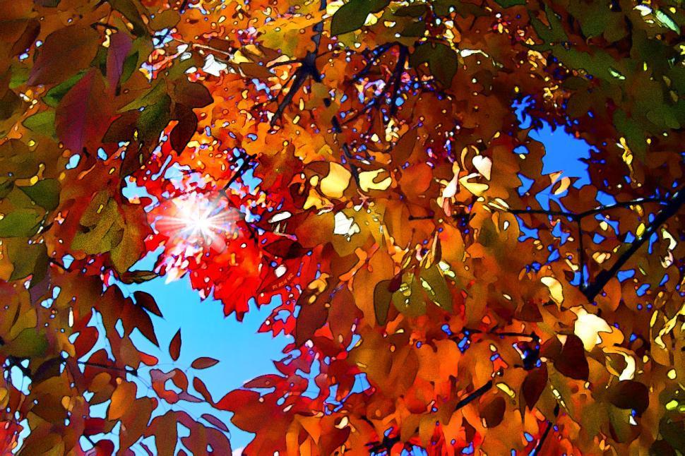 Free Stock Photo of Fort Collins Fall | Download Free Images and Free ...