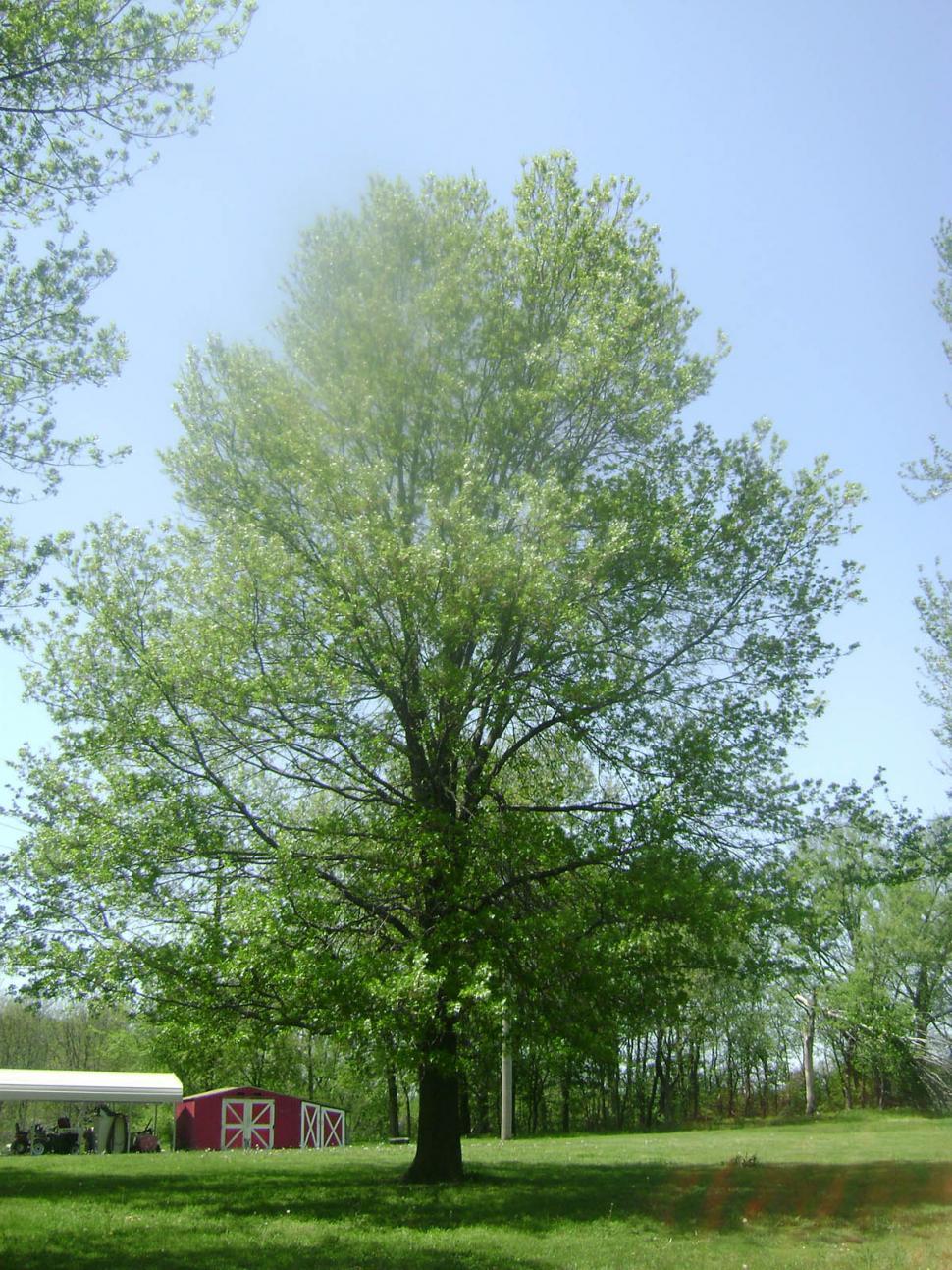 Free Stock Photo of Still Standing | Download Free Images and Free ...