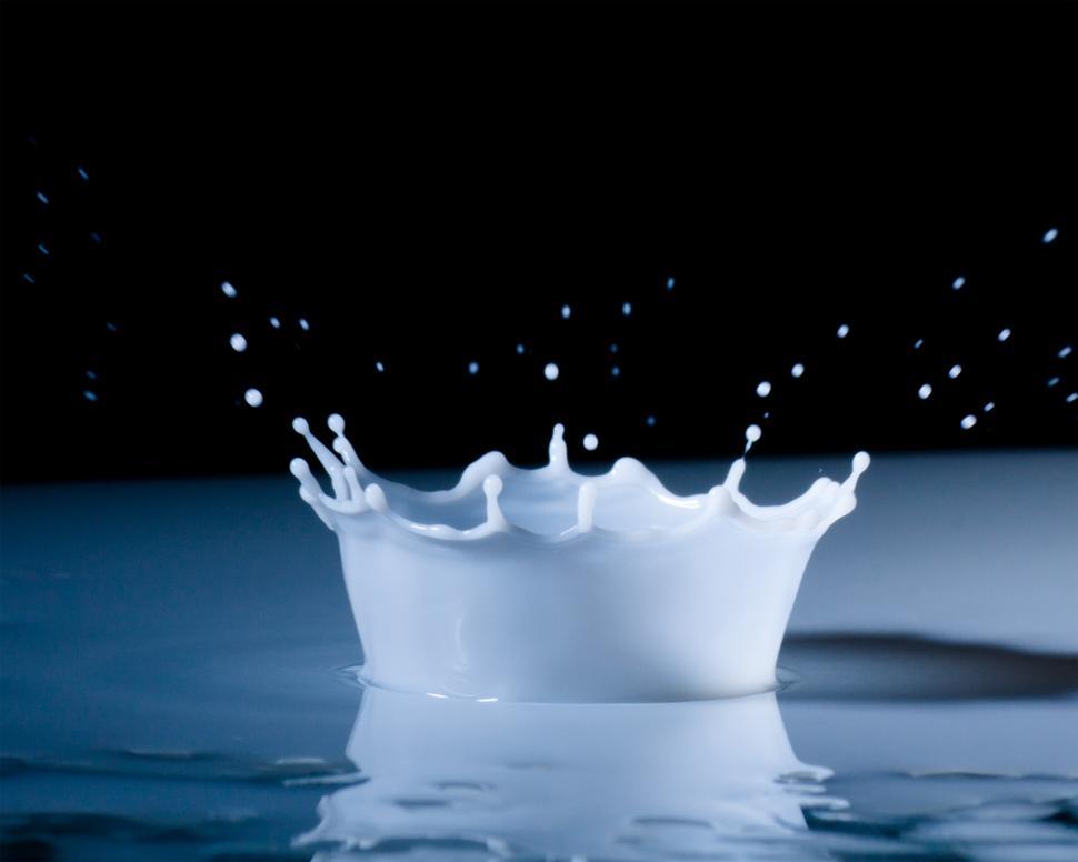 Free Stock Photo of Milk Crown | Download Free Images and Free ...