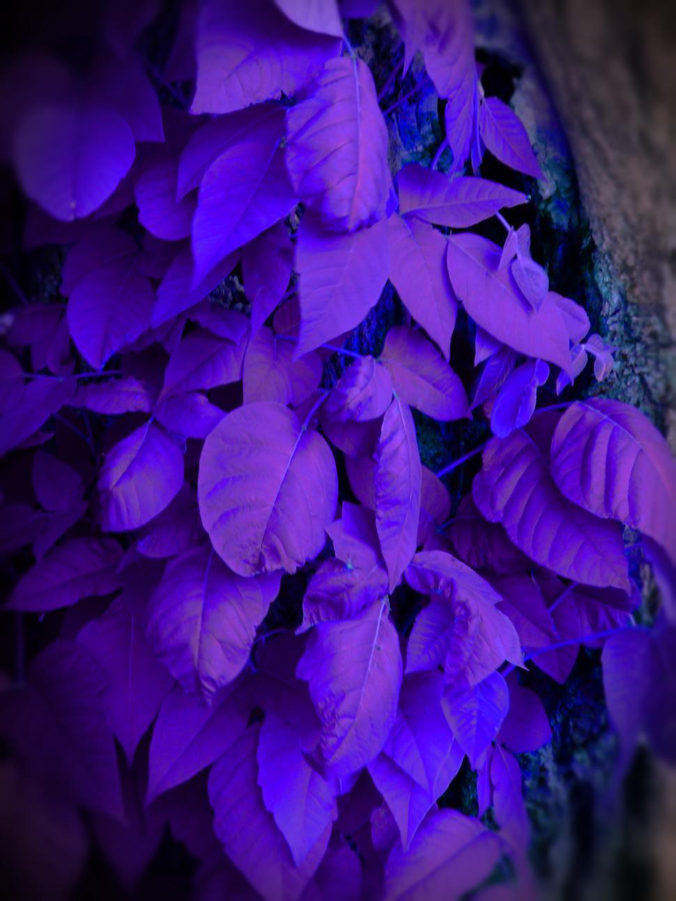 Free Stock Photo of Blue | Download Free Images and Free Illustrations