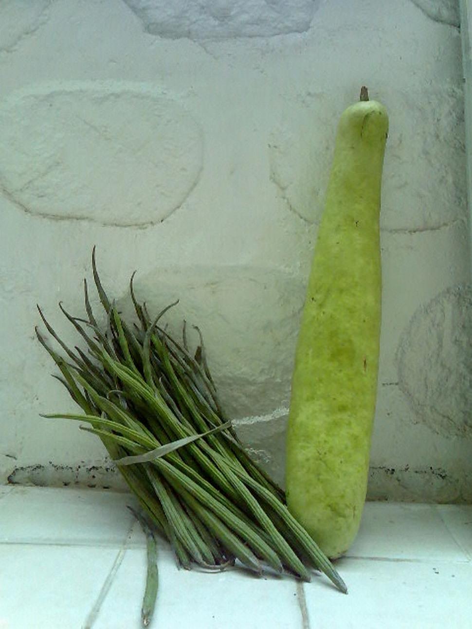 Free Stock Photo of Pickle Next to Grass | Download Free Images and ...