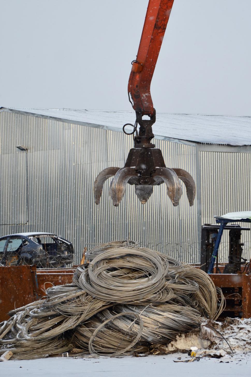 Free Stock Photo of Handler | Download Free Images and Free Illustrations