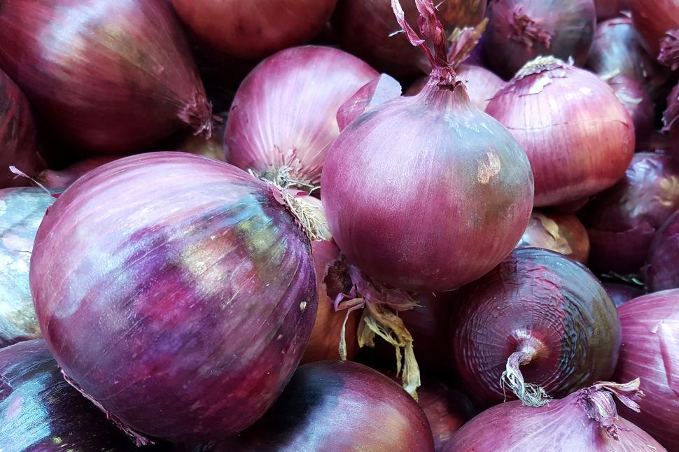 Free Stock Photo of Red Onions | Download Free Images and Free ...