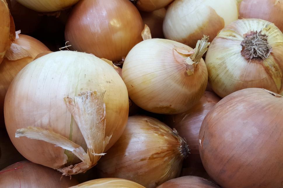 Free Stock Photo of Yellow Onion | Download Free Images and Free ...