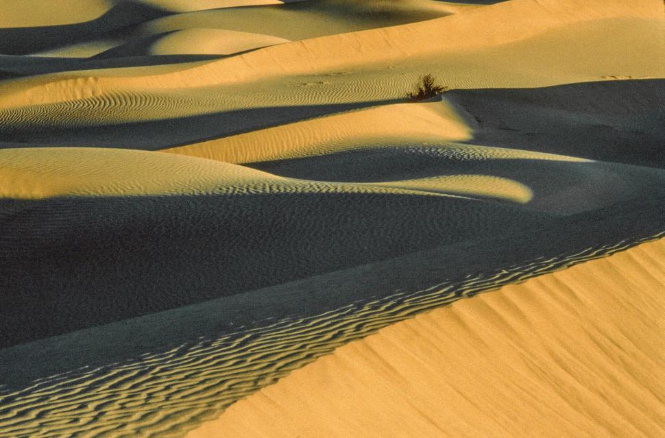 Free Stock Photo of Sand Dunes | Download Free Images and Free ...