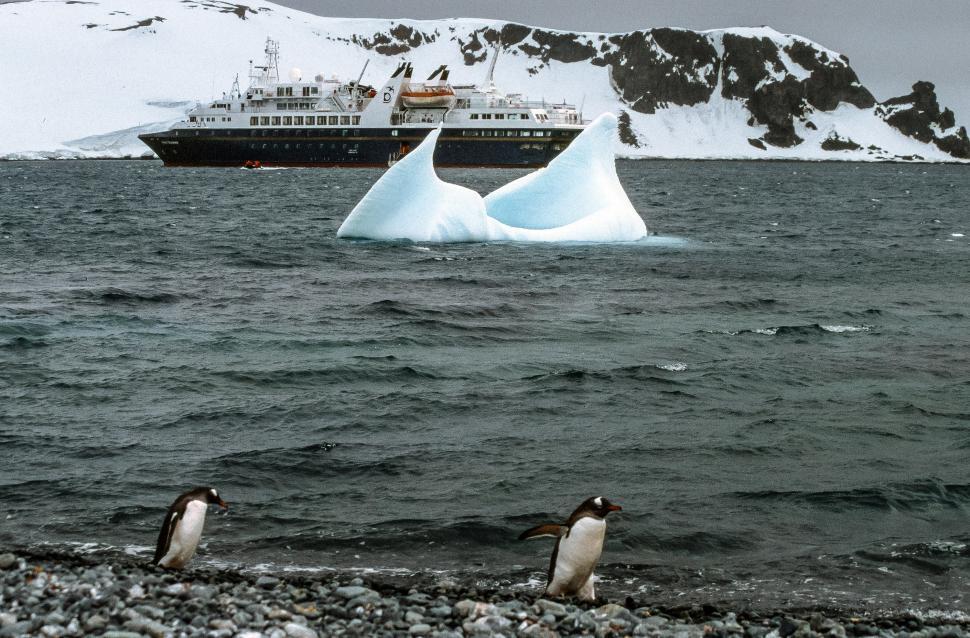 Free Stock Photo of General view of Antarctica | Download Free Images ...