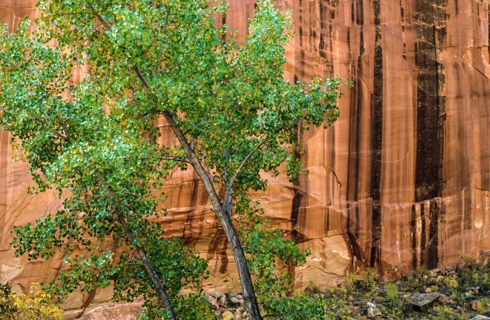 Free Stock Photo of Close-up of sandstone | Download Free Images and ...