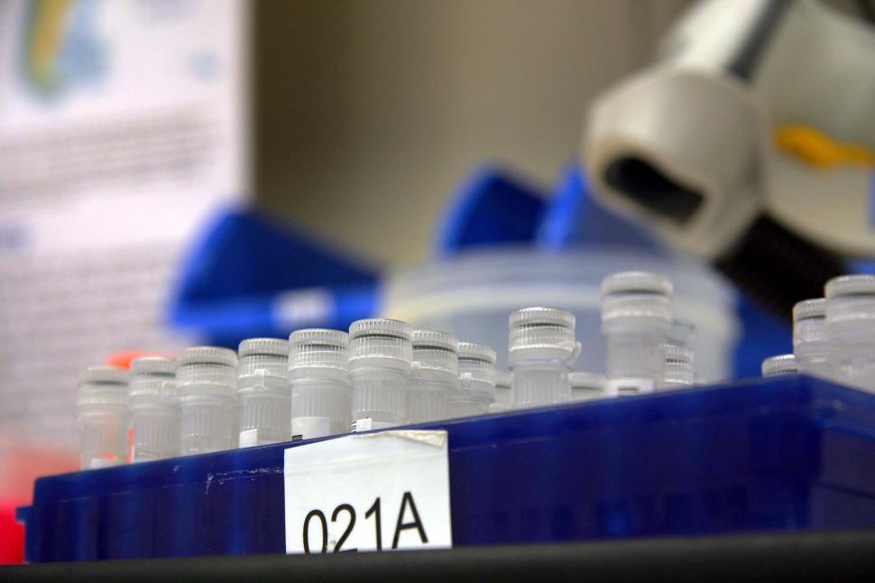 Free Stock Photo of Tray of tubes | Download Free Images and Free ...