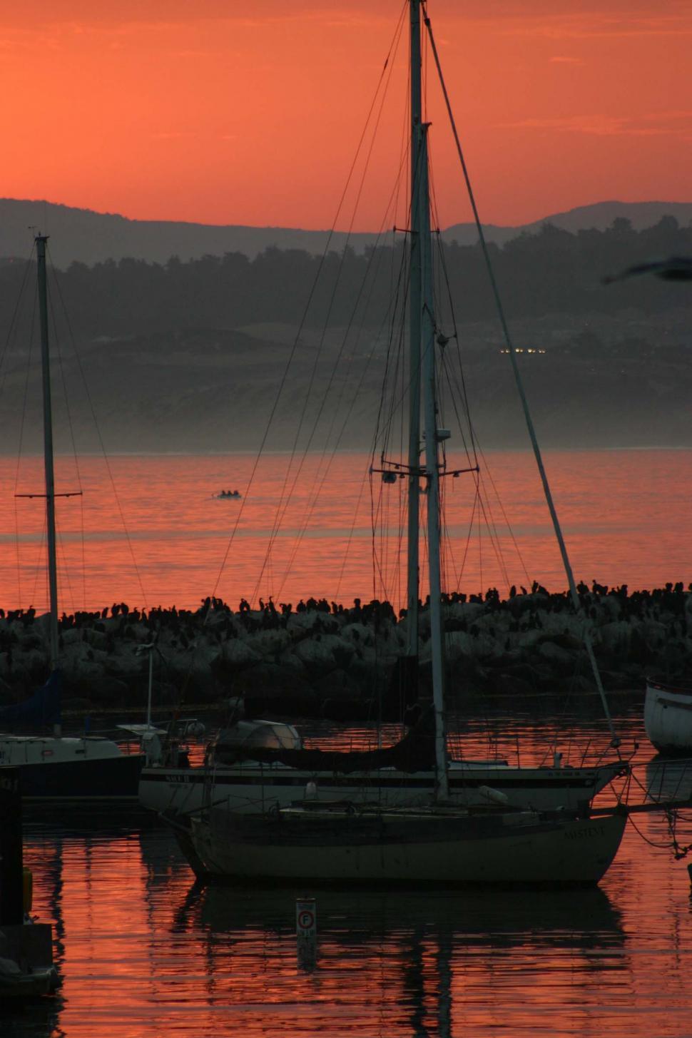 Free Stock Photo of Group of Boats Floating on Body of Water | Download ...