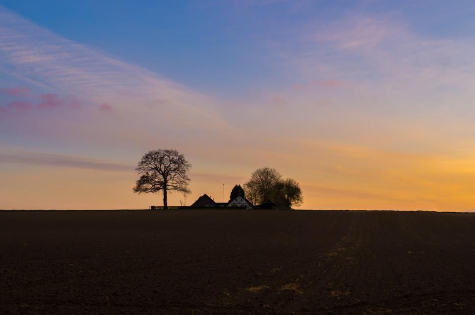 Free Stock Photo of Lone Tree Standing in Field | Download Free Images ...