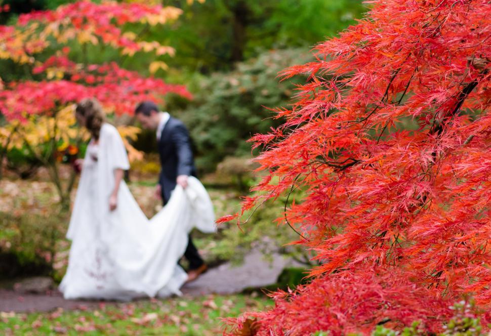 Free Stock Photo of Bride and Groom Walking Through Garden | Download ...