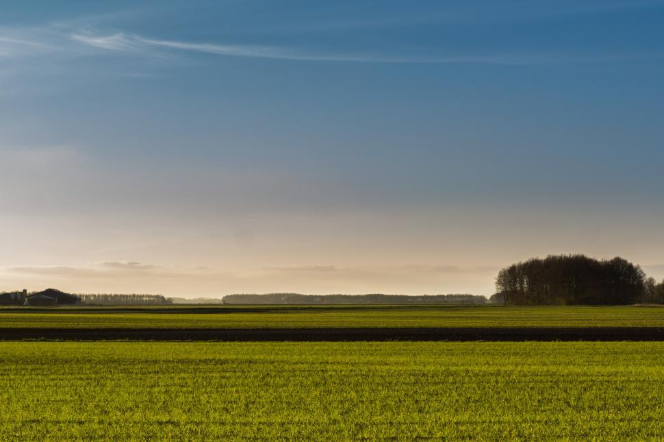Free Stock Photo of Expansive Field of Green Grass Under Blue Sky ...
