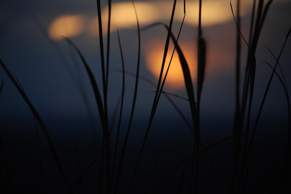 Free Stock Photo of evening time kerala | Download Free Images and Free ...