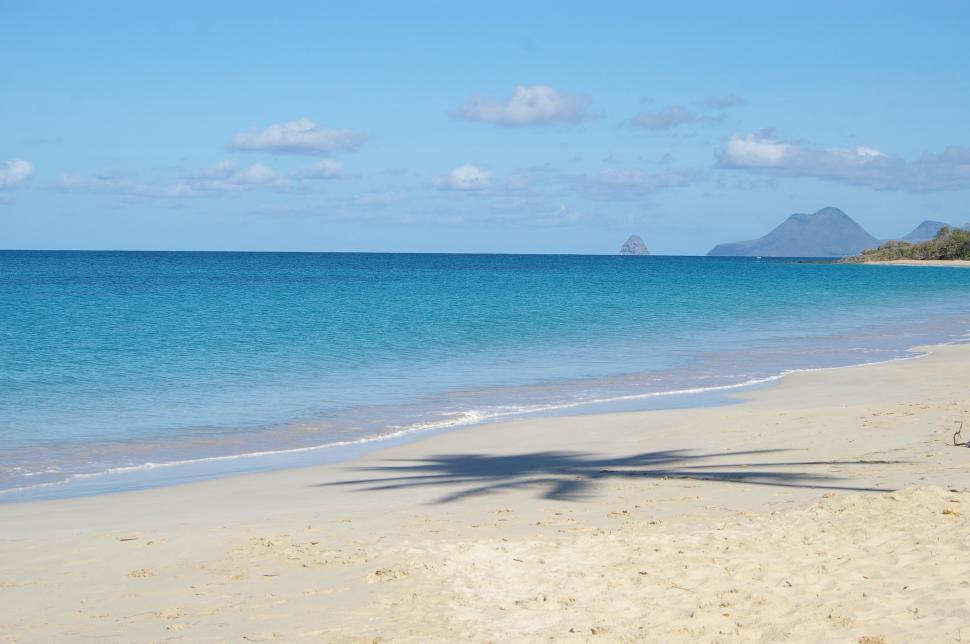Free Stock Photo of Palm Tree Shadow on Beach | Download Free Images ...