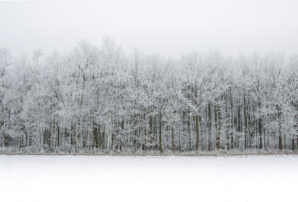 Free Stock Photo of snow winter cold ice landscape frozen weather ...