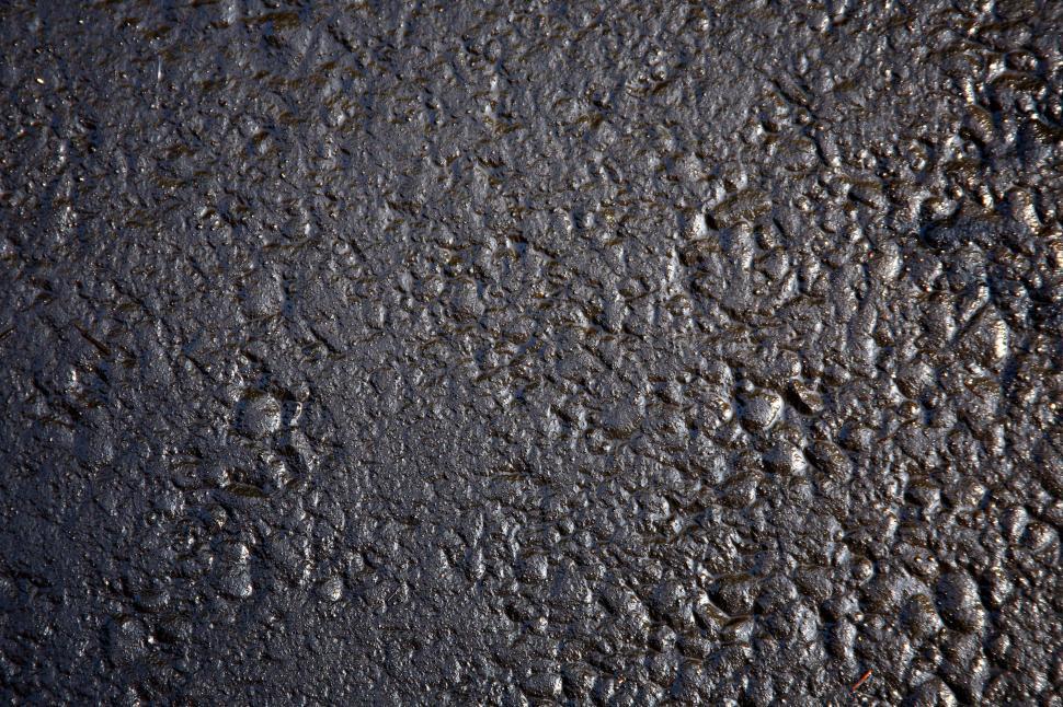 Free Stock Photo of Mud | Download Free Images and Free Illustrations