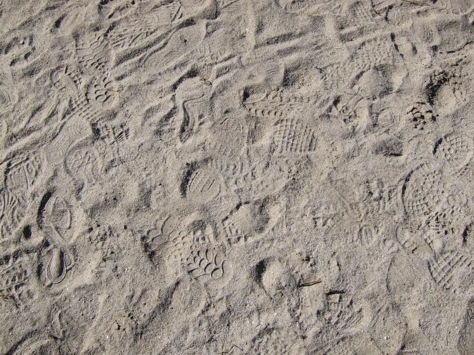 Free Stock Photo of Prints in the Sand | Download Free Images and Free ...